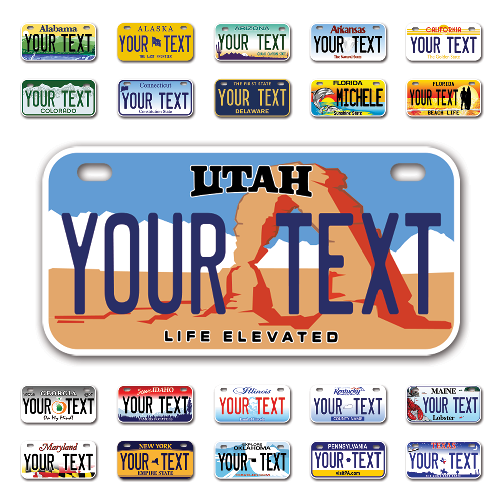 Personalize License Plates Vinyl Stickers From All 50 USA States - 6"x ...